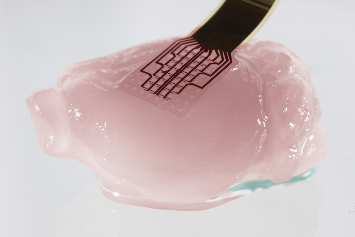 Work Package 5: Biomedical Technologies | Graphene Flagship