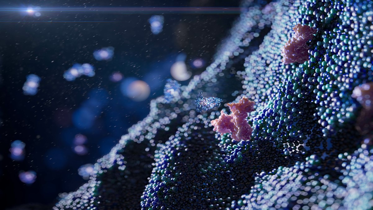 Graphene for healthcare and biomedicine | Graphene Flagship