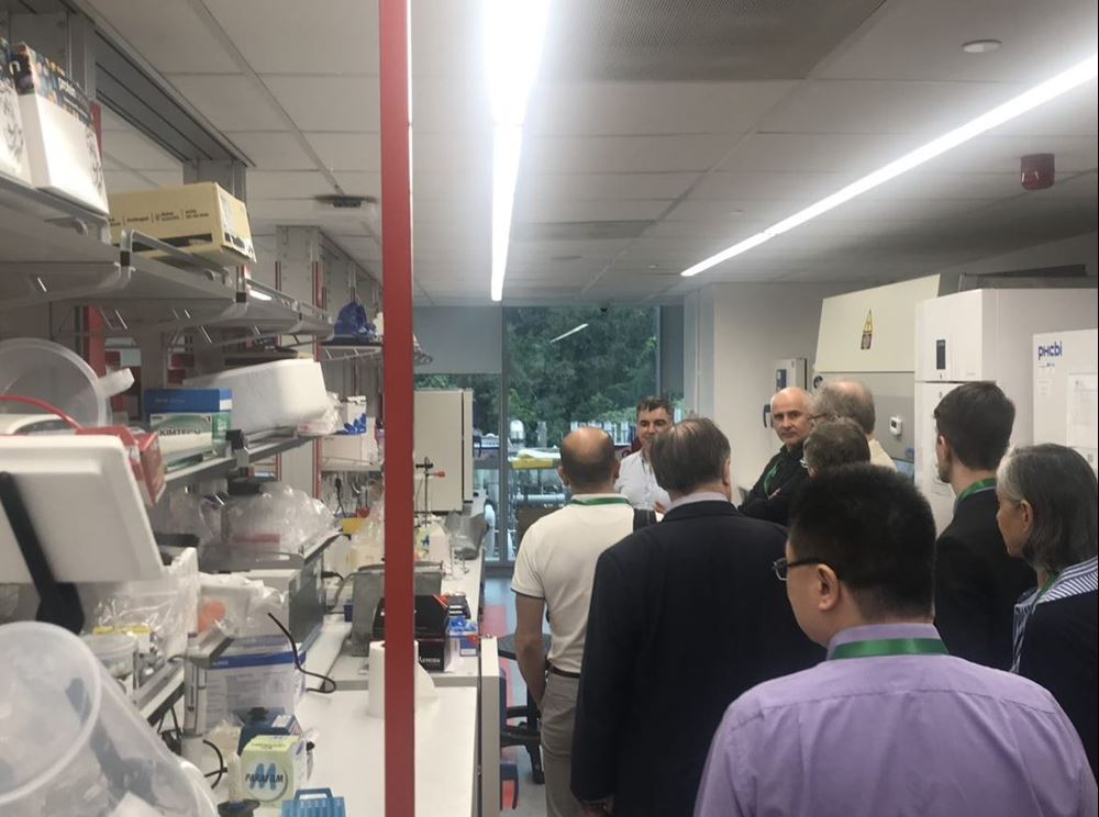 Singapore-EU Workshop 2023 | Graphene Flagship